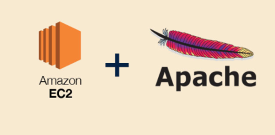 Set Up & Install Apache On Aamazon Web Server Instance - Taxi Web Design